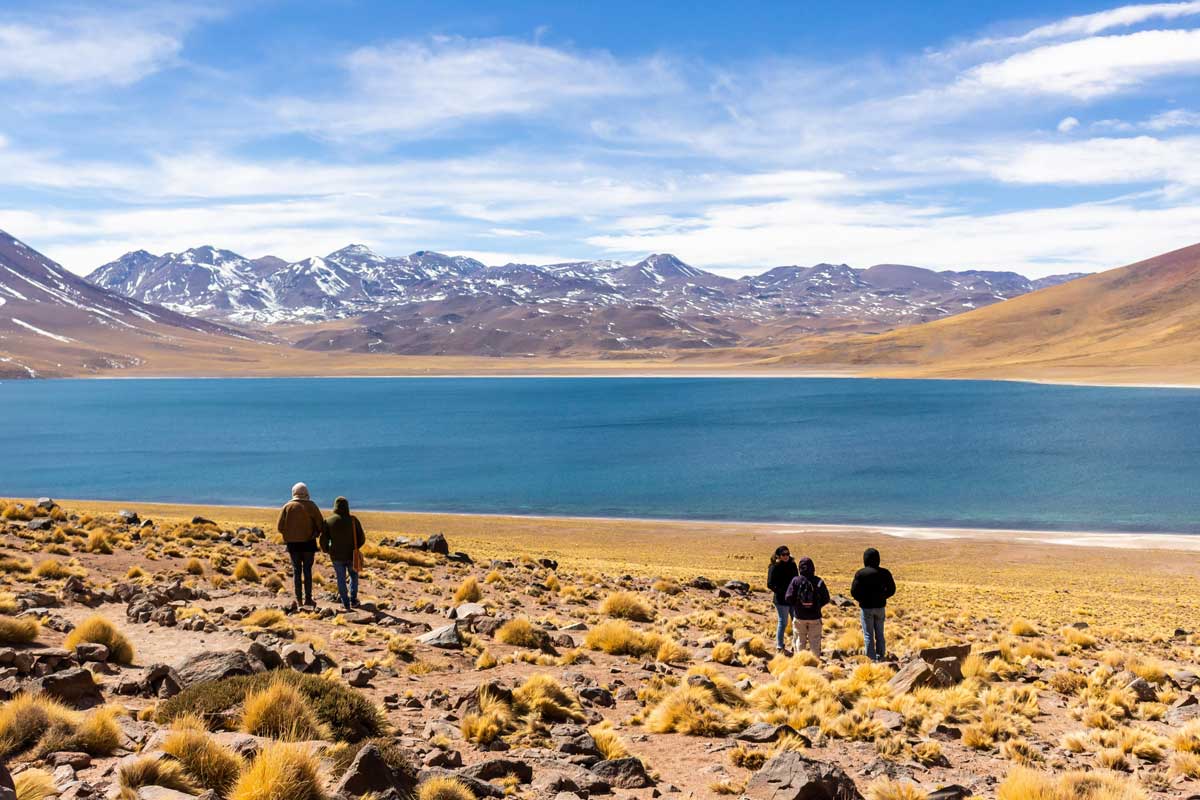 Piedras Rojas Y Lagunas Altiplanicas – Expediciones San Pedro de Atacama